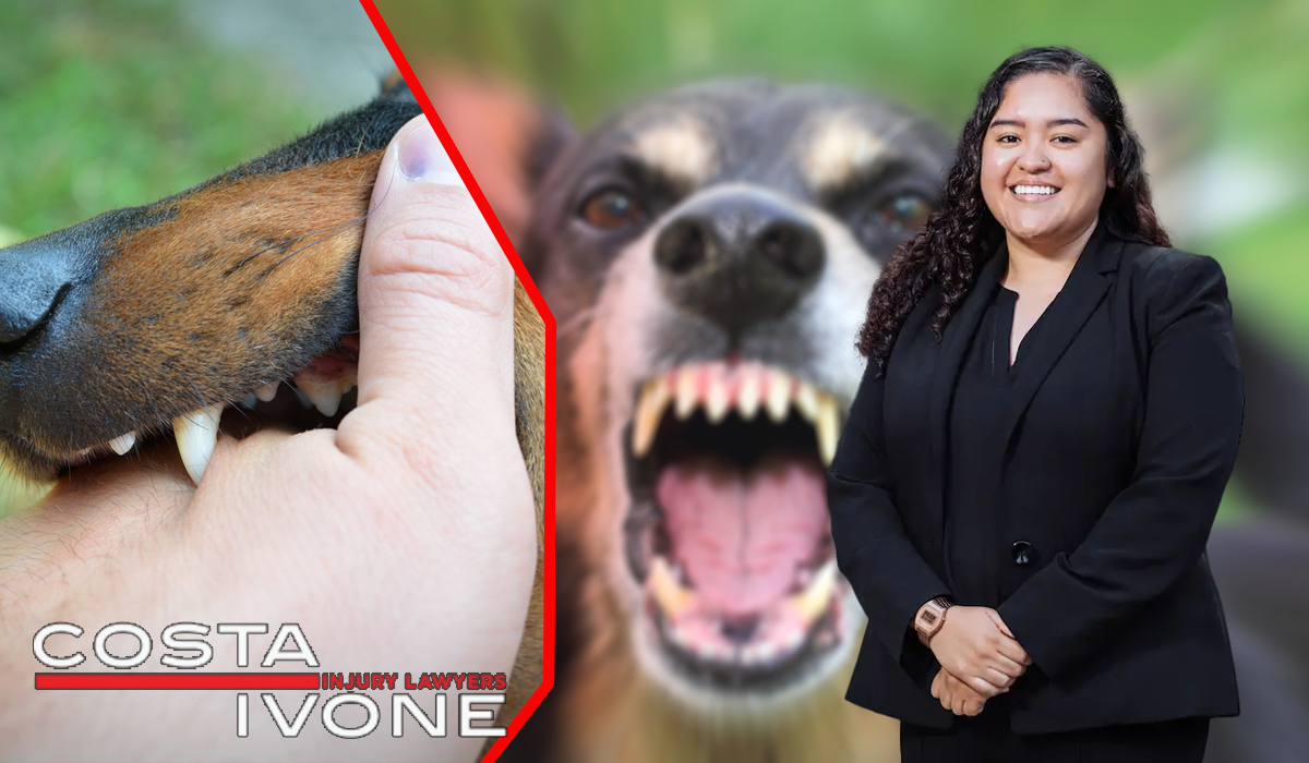 Helpful Legal Information For Filing Dog Bite Claims